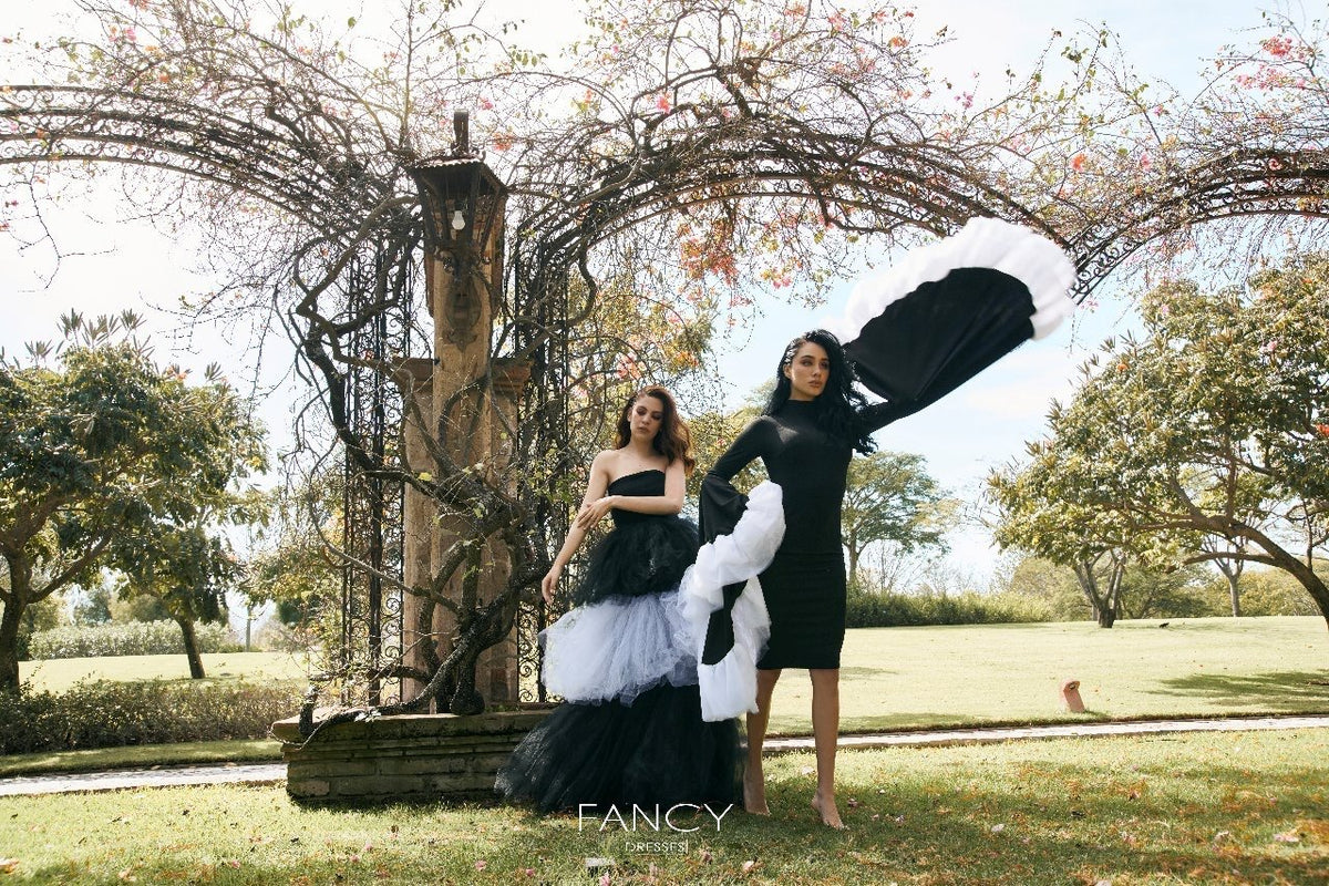 Fancy Dresses – fancy_dressess